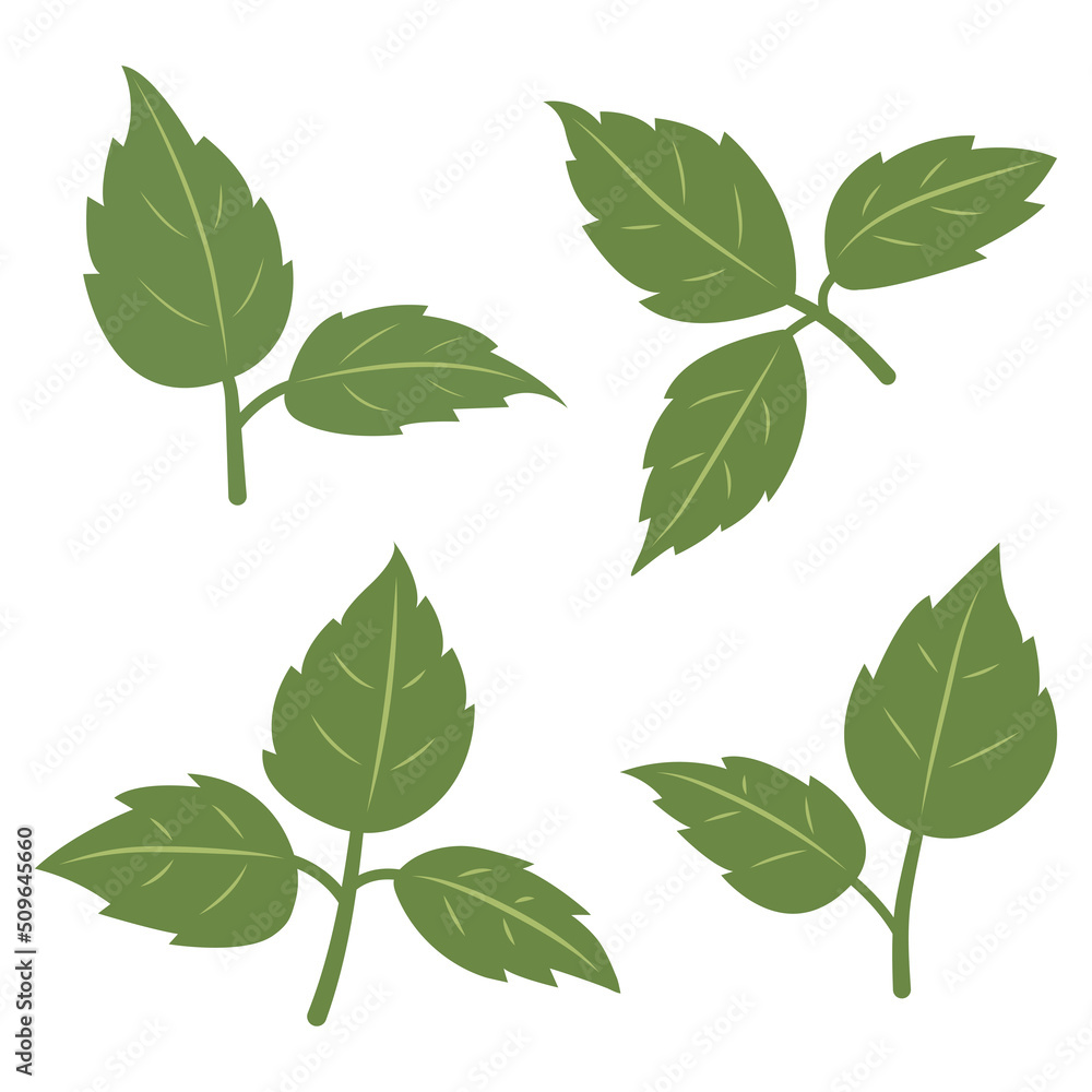 Set of leaves. Hand drawn sketch style. Flat vector illustration ...