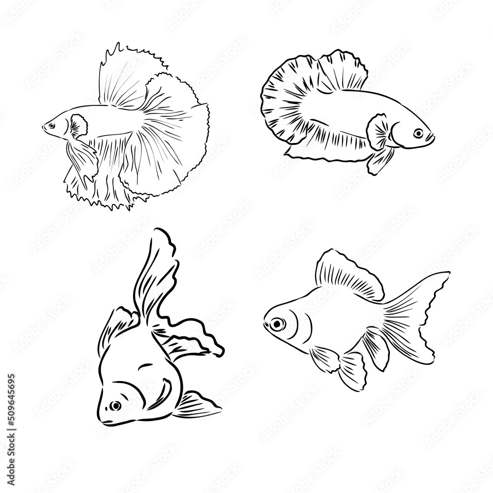 Tropical sea and aquarium fishes collection on white background. Set of ...