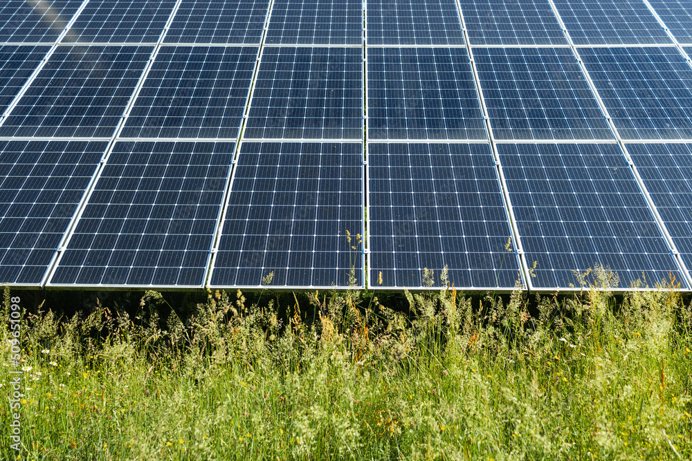 Photovoltaic solar panels on sunset sky background,green clean energy ...