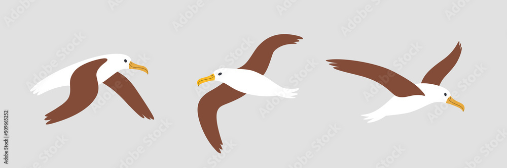 Cute albatross - cartoon bird character. Vector illustration in flat ...