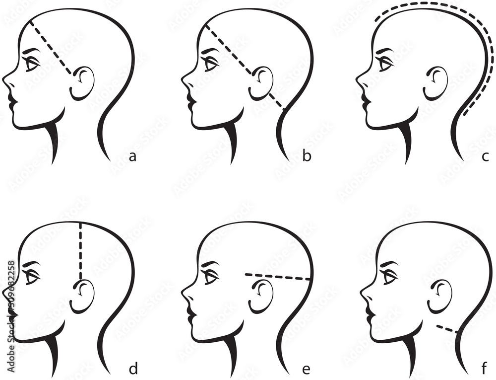Stylized image of a female head. Template for selecting the size of a ...