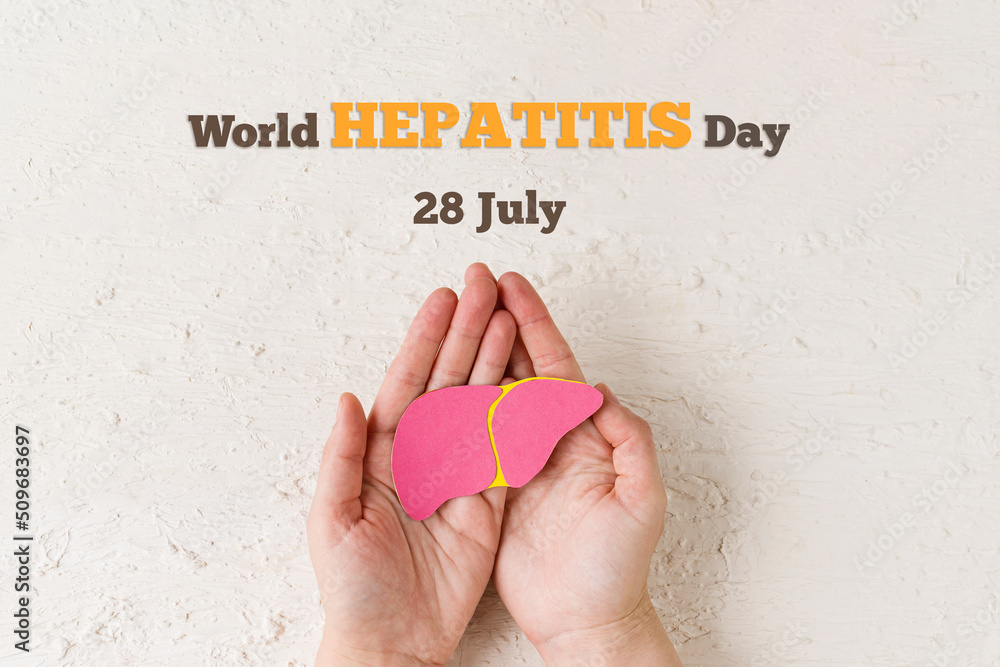World hepatitis day. Adult hands holding donation liver on white ...