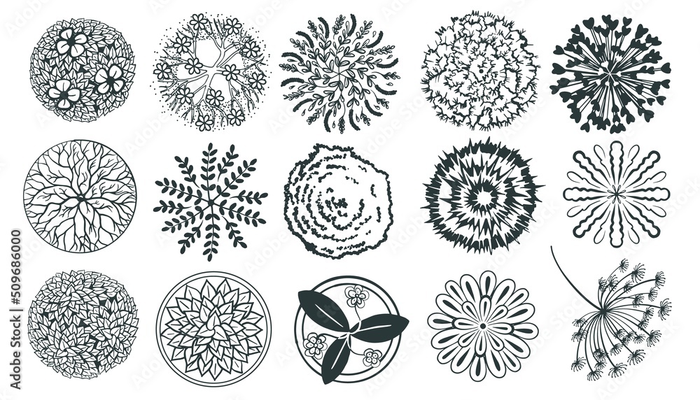Plants for landscape plans top view vector Stock Vector | Adobe Stock