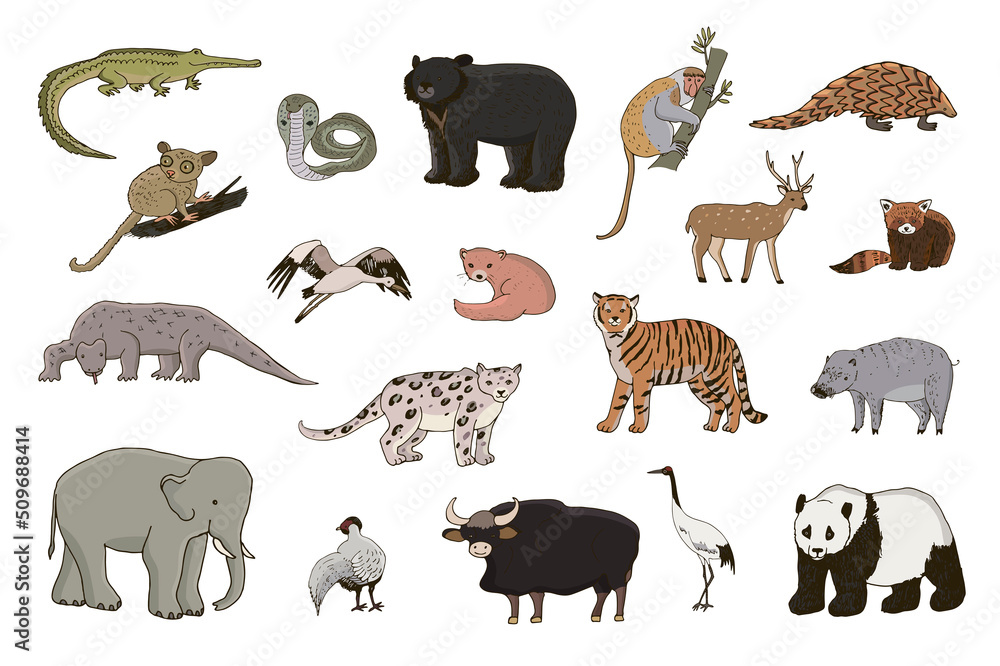 Asian animals elephant, panda, leopard, bear, tiger vector ...