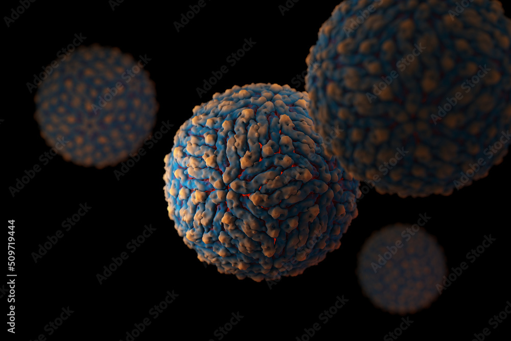 Dengue virus accurate structure, 3d rendering medical illustration ...