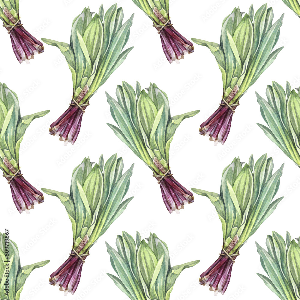 Seamless pattern watercolor wild garlic for salad on white background ...