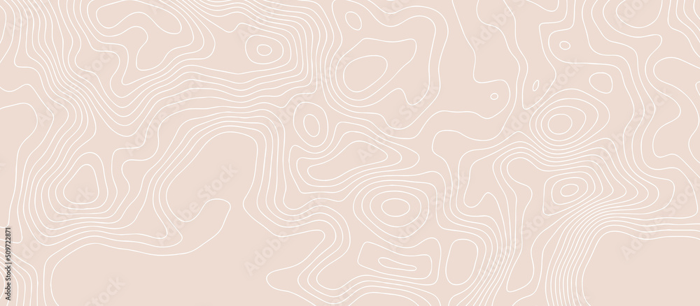 Photo & Art Print Geographic topographic map grid, Pixel Park