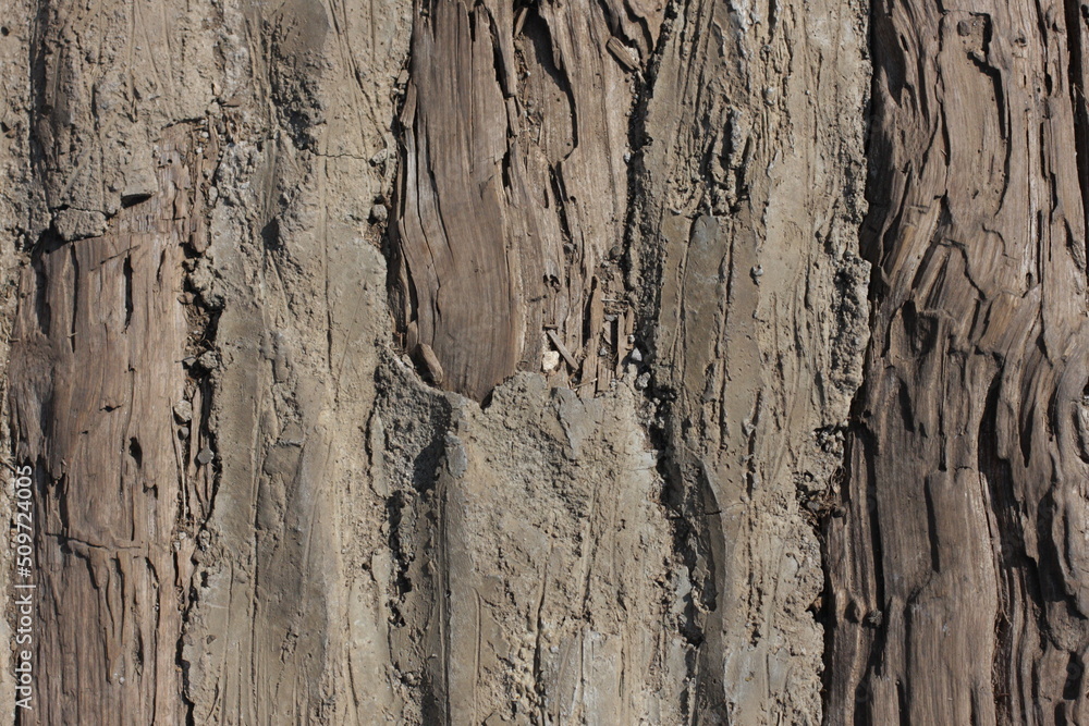 Raw File High Resolution Wood Textures For Background Stock Photo