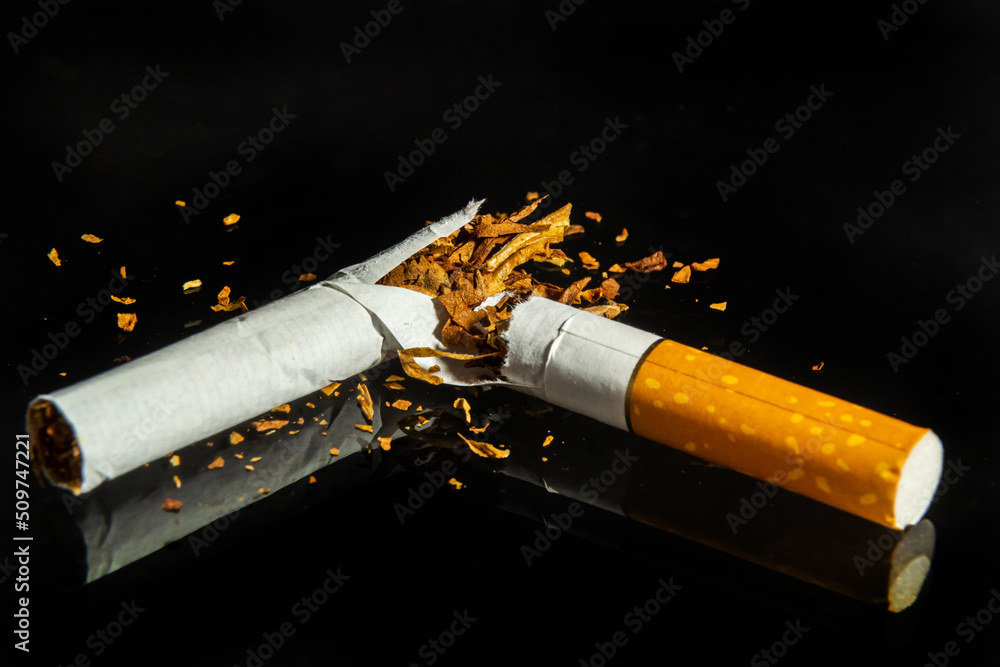 World No Tobacco Day, Broken cigarette isolated on black background. No ...