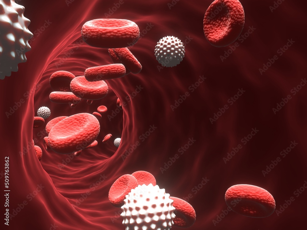 3d render of Red and White Blood Cells Flow Through Blood Vessel In ...