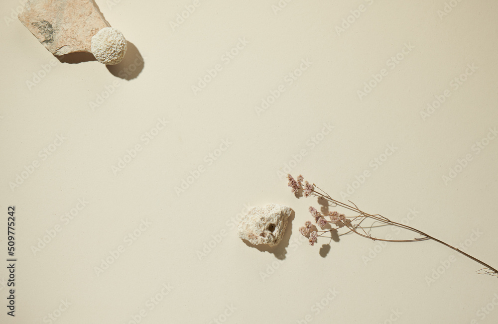 Flatlay minimal natural beige background with empty space. Template for ...