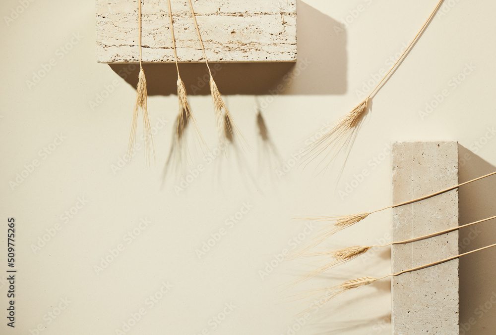 Flatlay minimal natural beige background with empty space. Template for ...