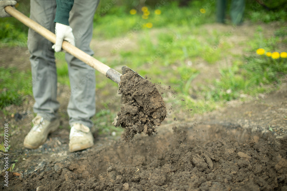 Guy is digging ground. Man with shovel. Details of rural life. Stock ...