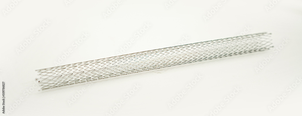 Poster medical bare metallic stent for endovascular treatment of ...