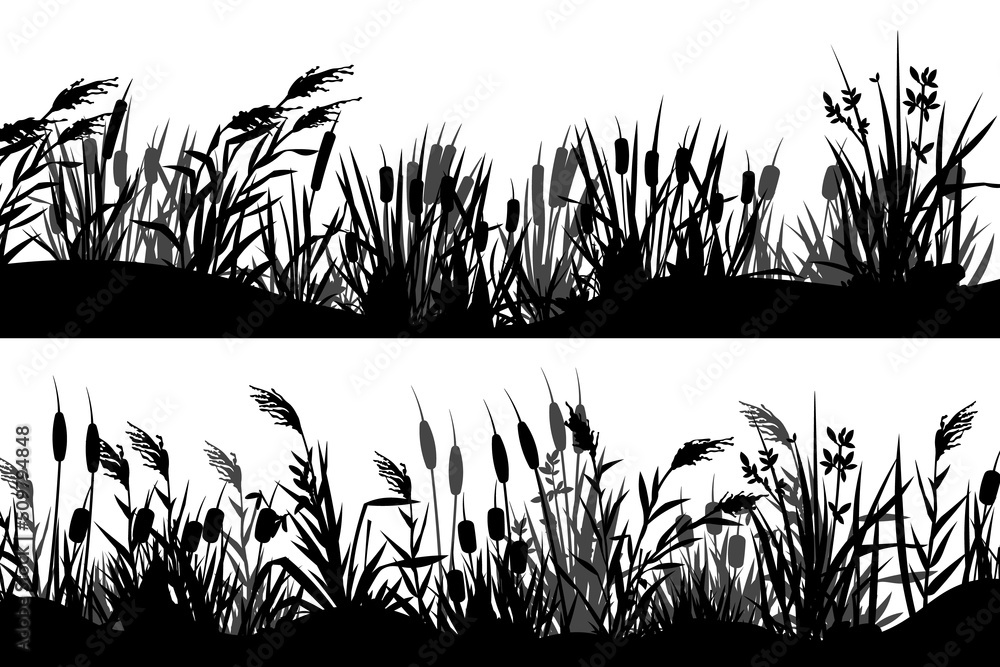 Reed silhouette. Black cattail grass strip border, marsh nature ...