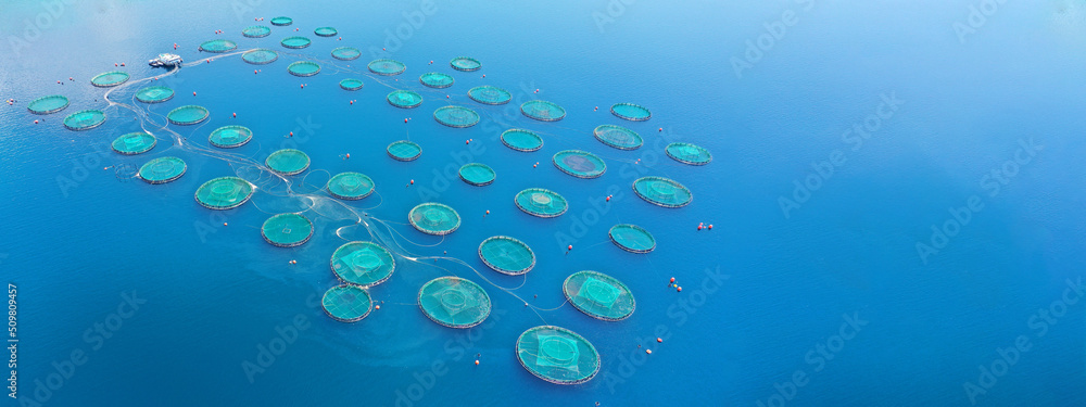 Aerial drone ultra wide photo with copy space of fish farming unit of ...