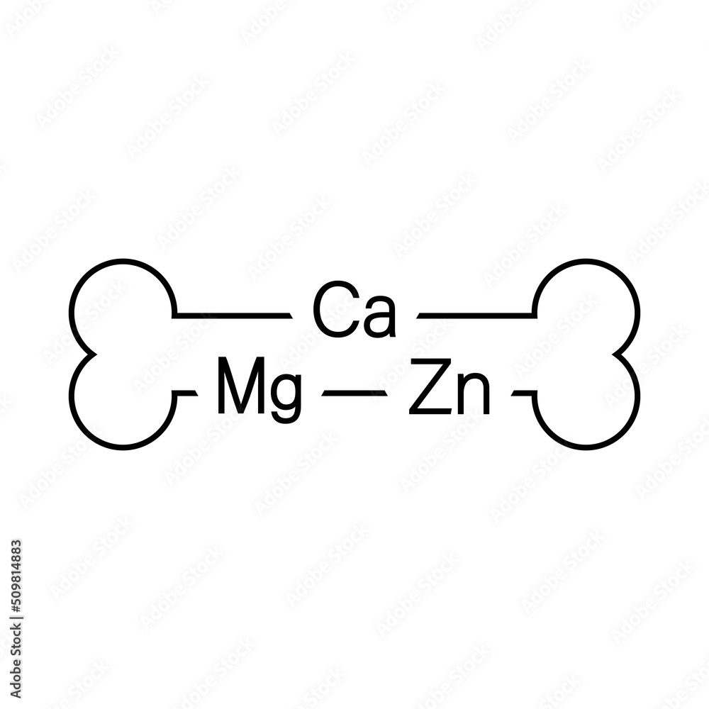 Calcium, magnesium and zinc vitamins. Ca, Mg, Zn and bone. Vector ...