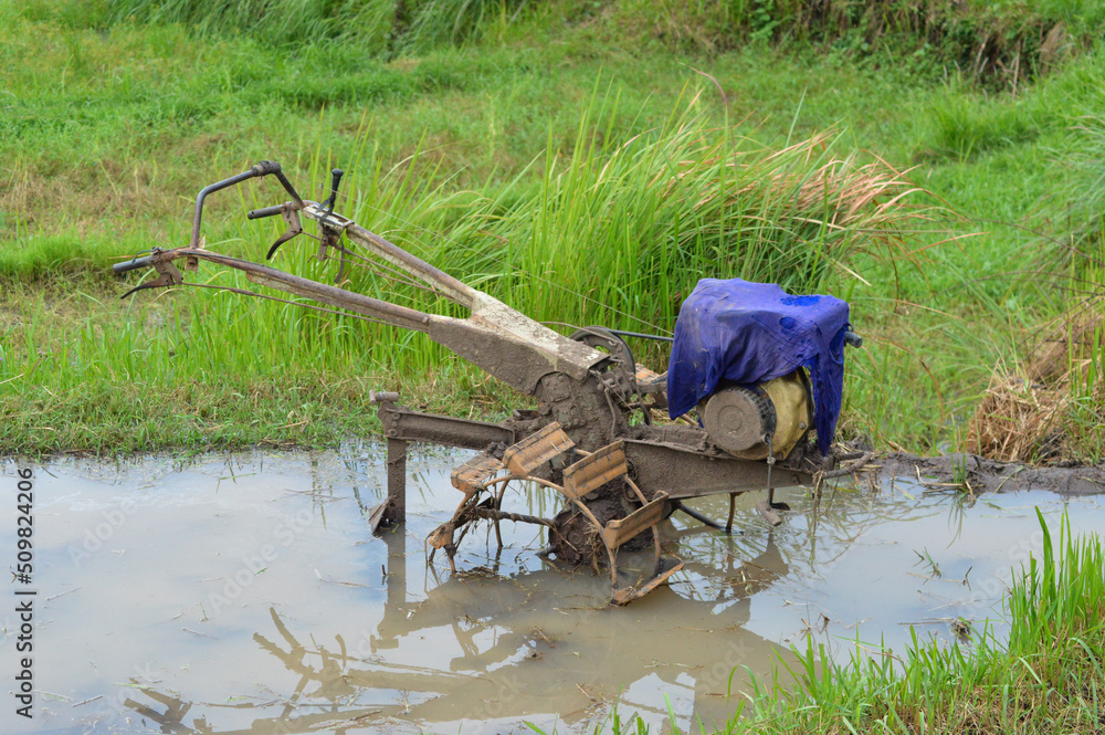 Agricultural Machinery Two Wheel Hand Tractor In The Muddy Water Rice ...