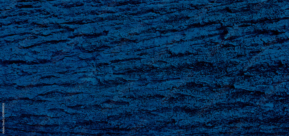abstract blue bark background of a tree in the forest with relief ...