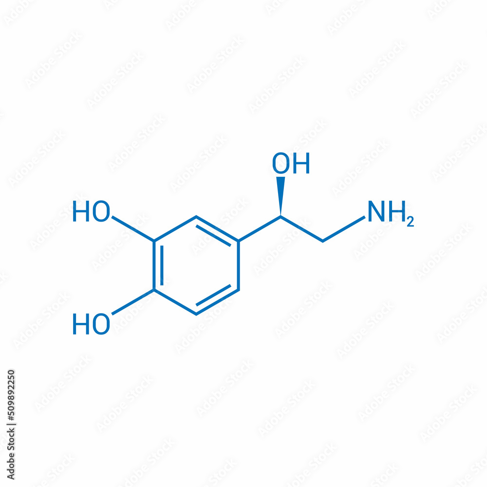 chemical structure of Norepinephrine (C8H11NO3) vector de Stock | Adobe ...