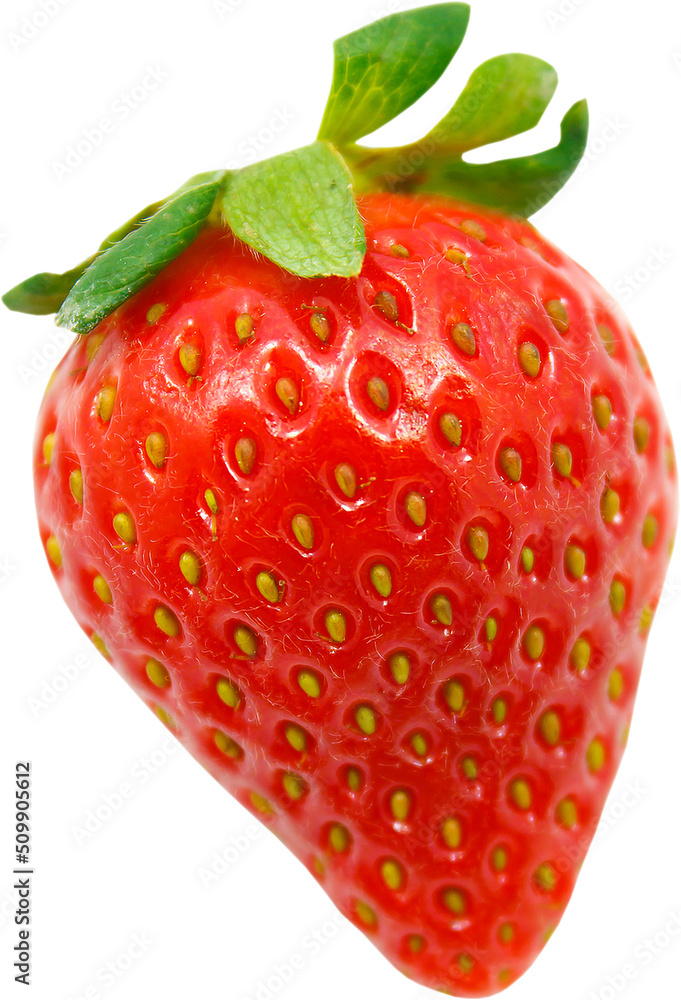Strawberry Stock Photo | Adobe Stock