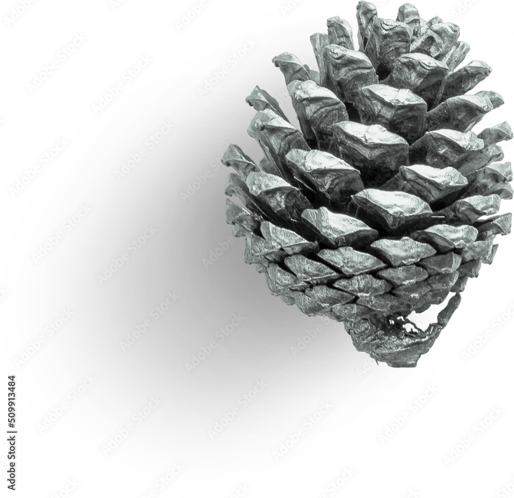 Pinecone Metallic Stock Photo | Adobe Stock