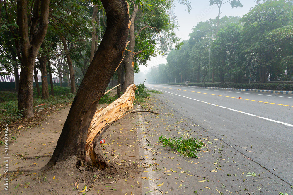 A deserted city road of kolkata city under lockdown due to corona virus ...