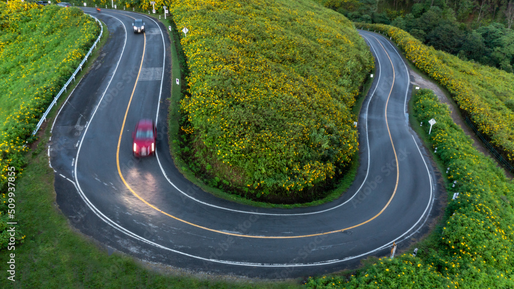 Aerial top view of mountain road sharp curve with green forest trees ...