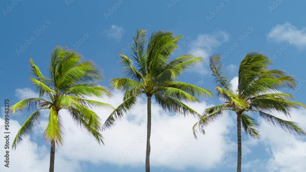 RED camera dolly shot with blue sky and scenic clouds on motion ...