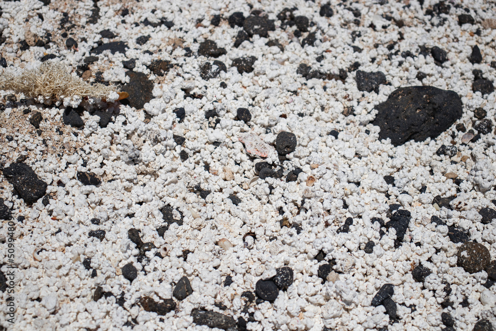 Popcorn beach surface in Fuerteventura. Black volcanic rocks and dead ...