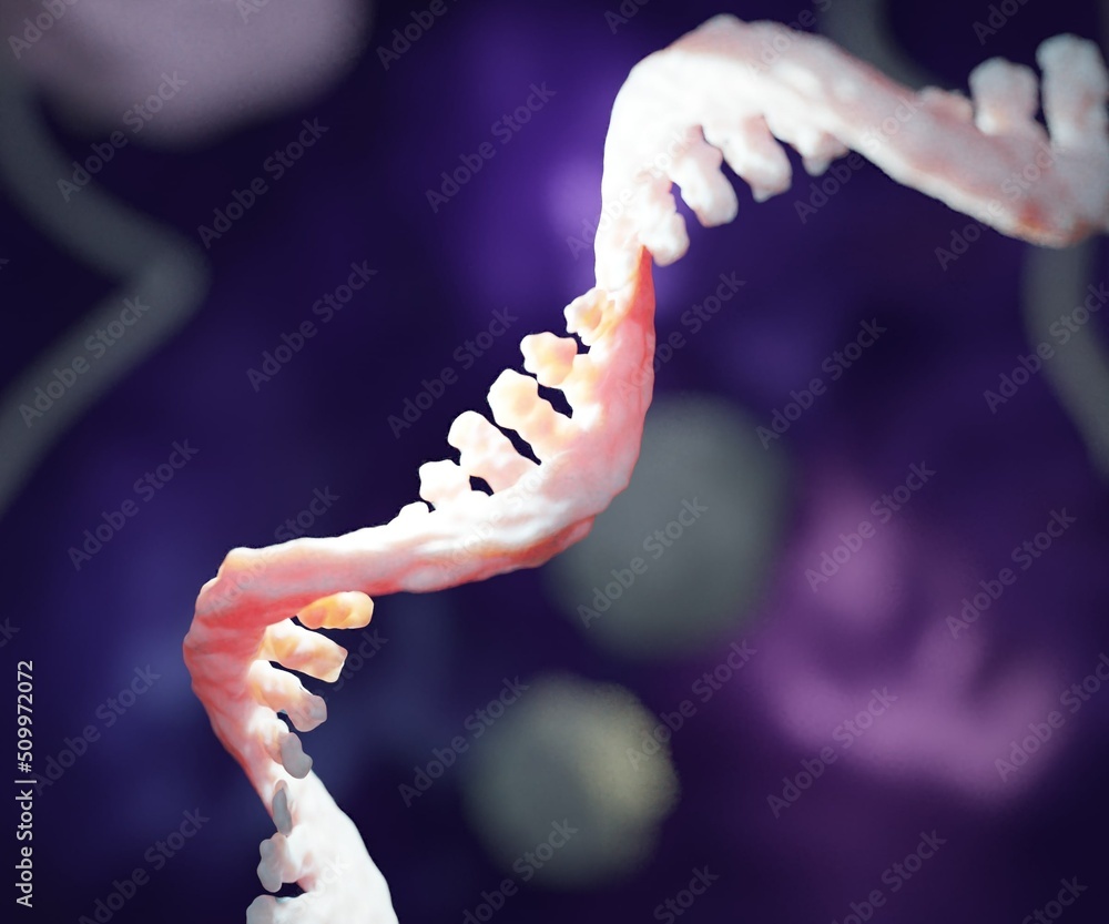 Ribonucleic acid or RNA molecule 3D Rendering. RNA is most often single ...