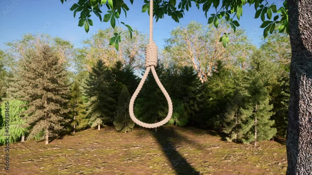 A close-up view of a rope with a hangman's noose knot, swinging in the ...
