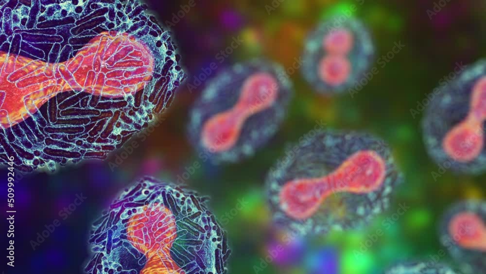 Stockvideo Monkeypox virus, 3D animation. A zoonotic virus from ...