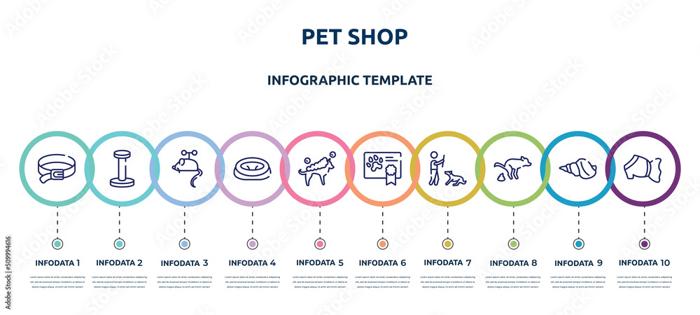 pet shop concept infographic design template. included dog leads ...