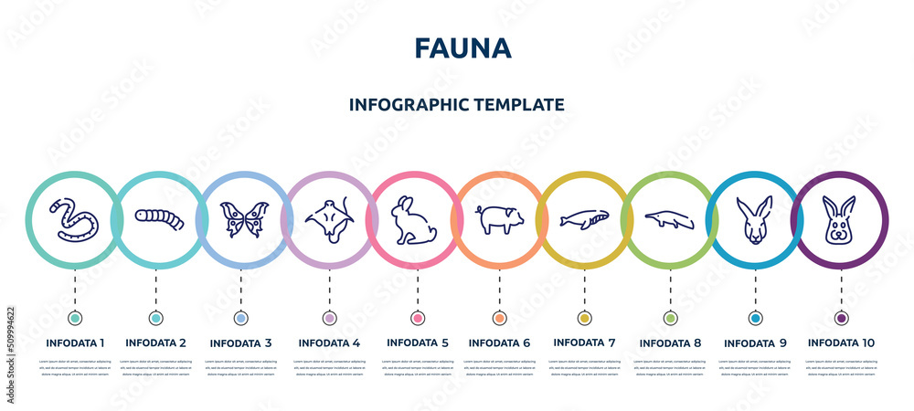 fauna concept infographic design template. included earth worm ...