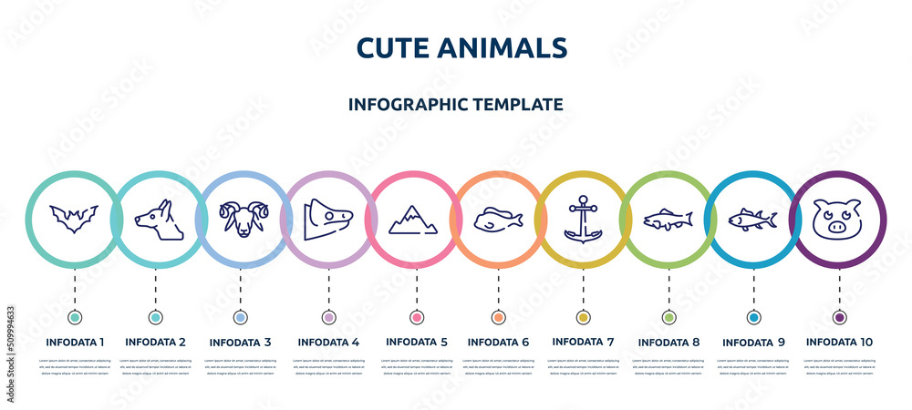 cute animals concept infographic design template. included plain bat ...