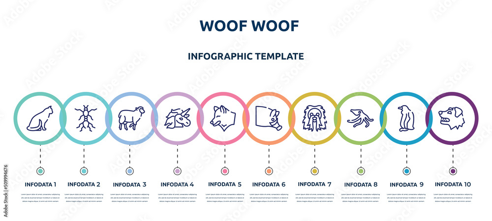 woof woof concept infographic design template. included sitting cat ...