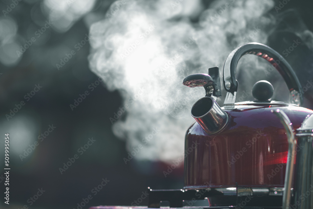 The hot water kettle has steam coming out after the kettle is placed on ...