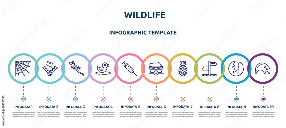 Vetor de wildlife concept infographic design template. included cobweb ...