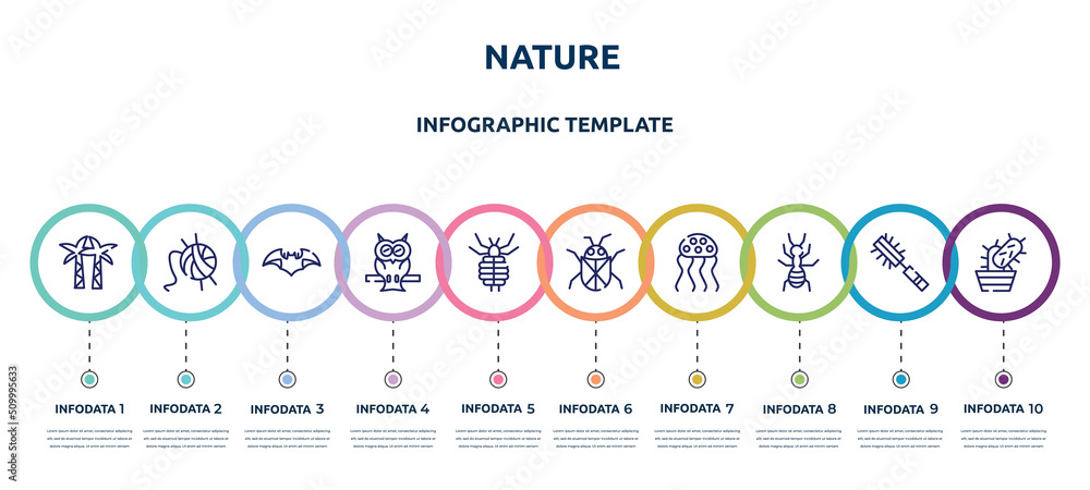 nature concept infographic design template. included palm tree, wool ...