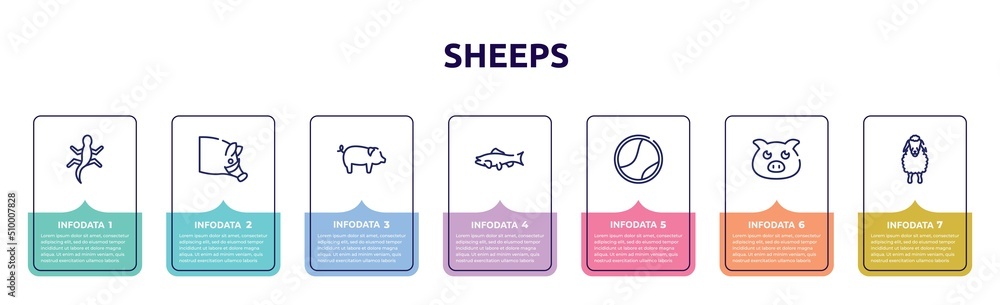 sheeps concept infographic design template. included gecko, hog head ...