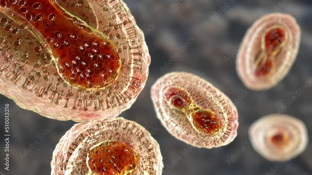 Video Stock Monkeypox virus, 3D animation. A zoonotic virus from ...