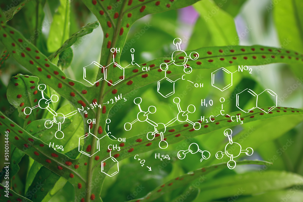 Plants background with biochemistry structure. Science concept design ...