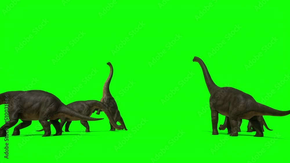 Brachiosaurus, sauropod walking and eating leaves from trees. Green ...