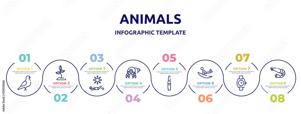 animals concept infographic design template. included pigeon, soil ...