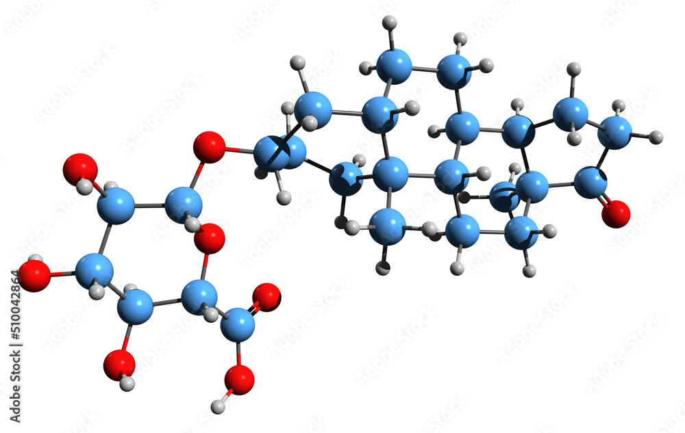 3D image of Androsterone glucuronide skeletal formula - molecular ...