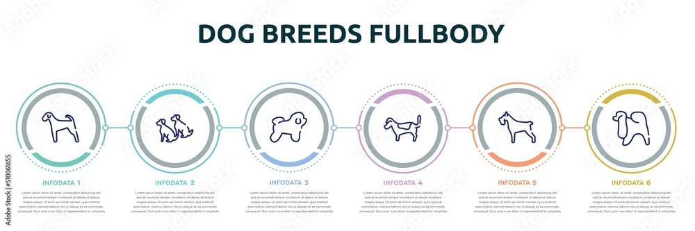 dog breeds fullbody concept infographic design template. included ...