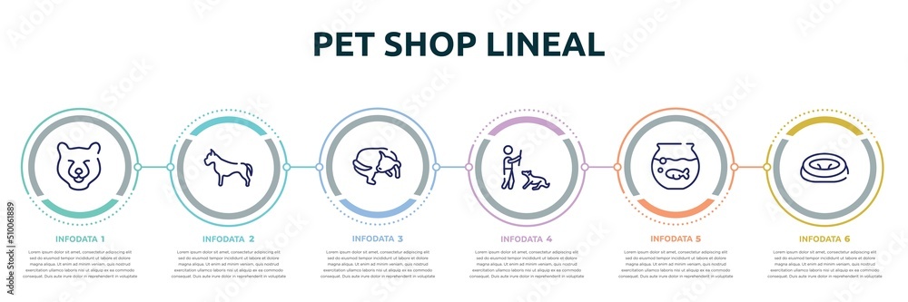 pet shop lineal concept infographic design template. included bear head ...