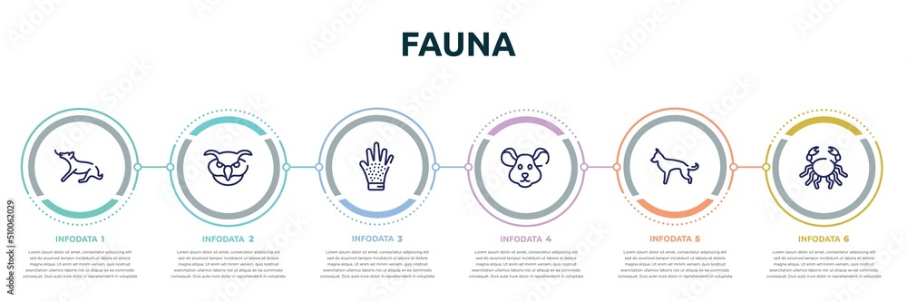 fauna concept infographic design template. included dog playing, owl ...