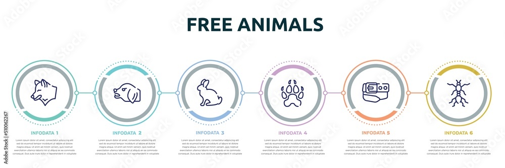 free animals concept infographic design template. included wolf head ...